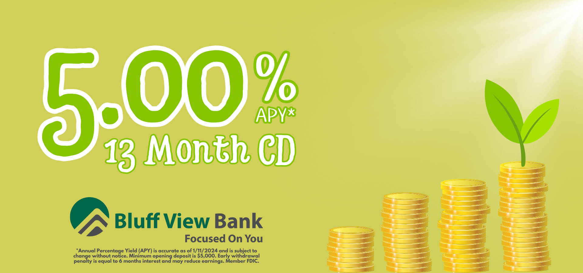 Homepage [www.bluffviewbank.com]